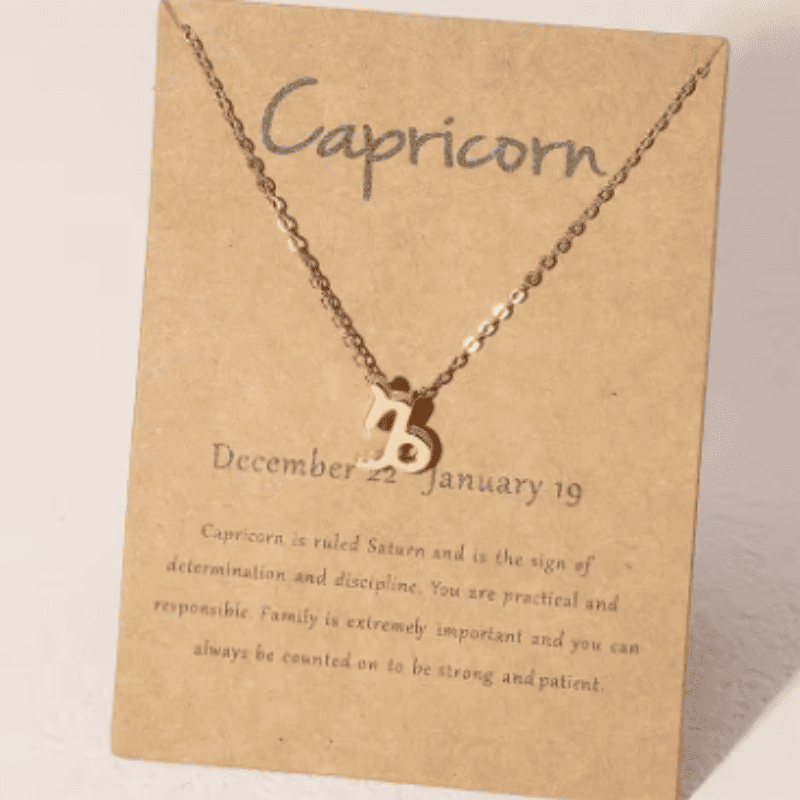 Capricorn "The Mountain Soul" Zodiac Necklace – Timeless Capricorn ...